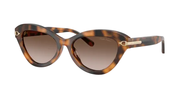 Ralph Lauren Rl8236u Sunglasses - Gradient Brown