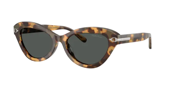 Ralph Lauren Rl8236u Sunglasses - Grey