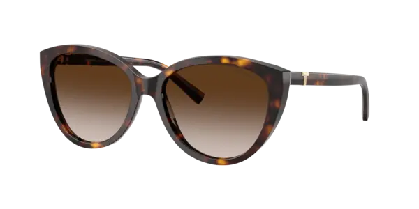 Tiffany & Co. Sunglasses - Brown Gradient