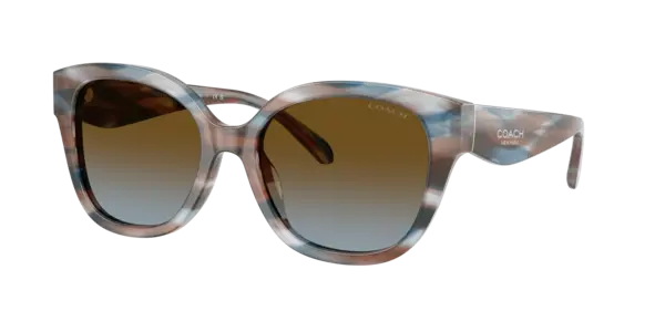 Coach Full Rim Sunglasses - Brown Blue Gradient