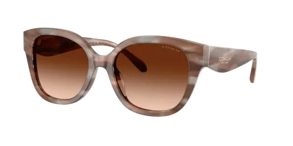 COACH Full Rim Sunglasses - Brown Gradient