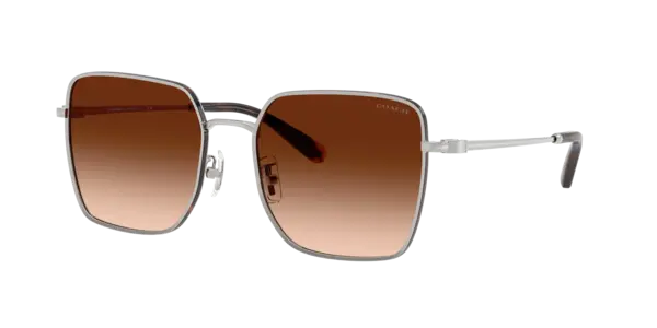 COACH Square Frame Sunglasses - Brown Gradient