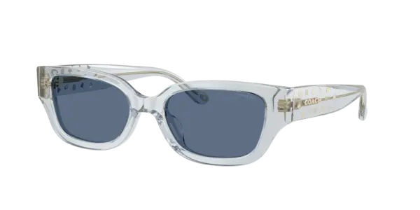 COACH Sunglasses - Blue Solid