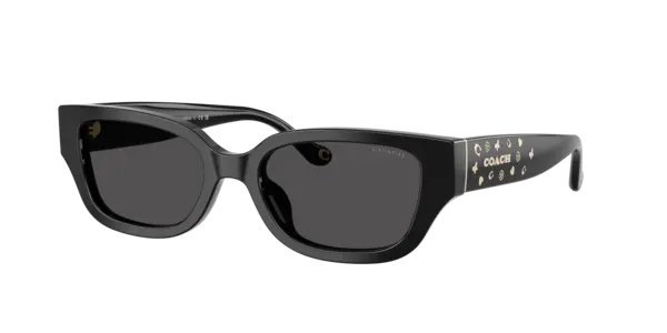 COACH Sunglasses - Grey Solid