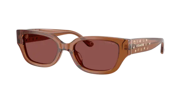 COACH Sunglasses - Wine Solid