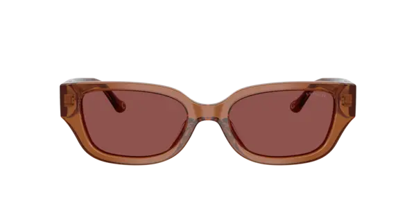 COACH Sunglasses - Wine Solid