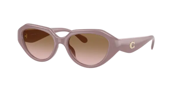 COACH Sunglasses - Brown Peach Gradient