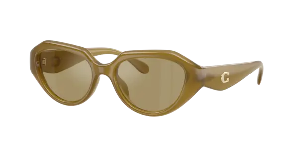 COACH Sunglasses - Green Flash