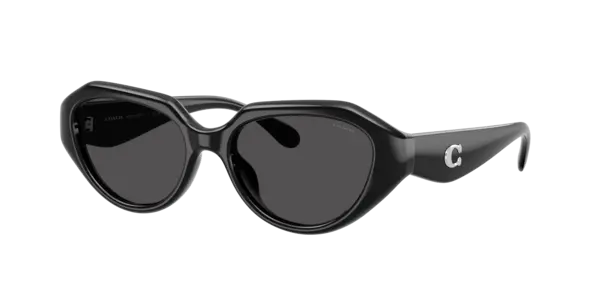 COACH Sunglasses - Grey Solid