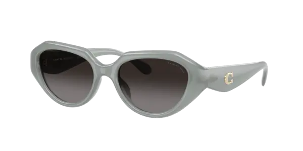 COACH Sunglasses - Grey