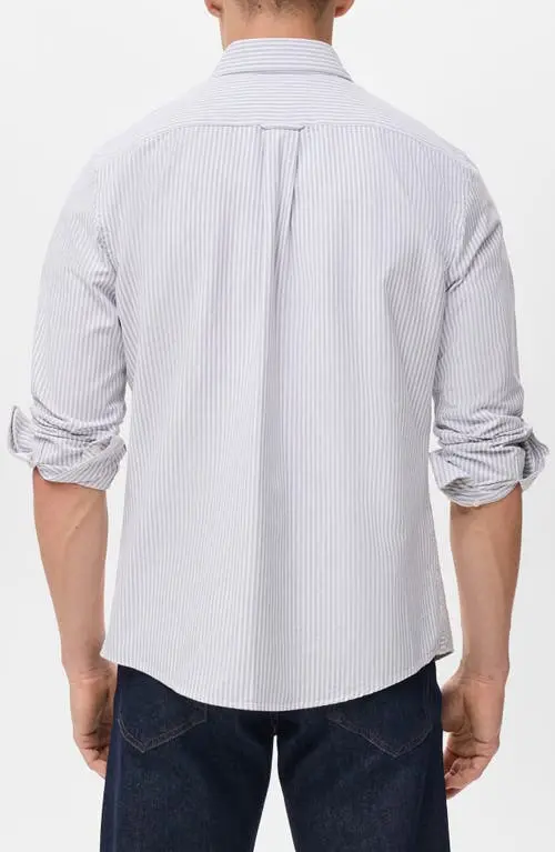 Mango Stripe Cotton Button-up Oxford Shirt