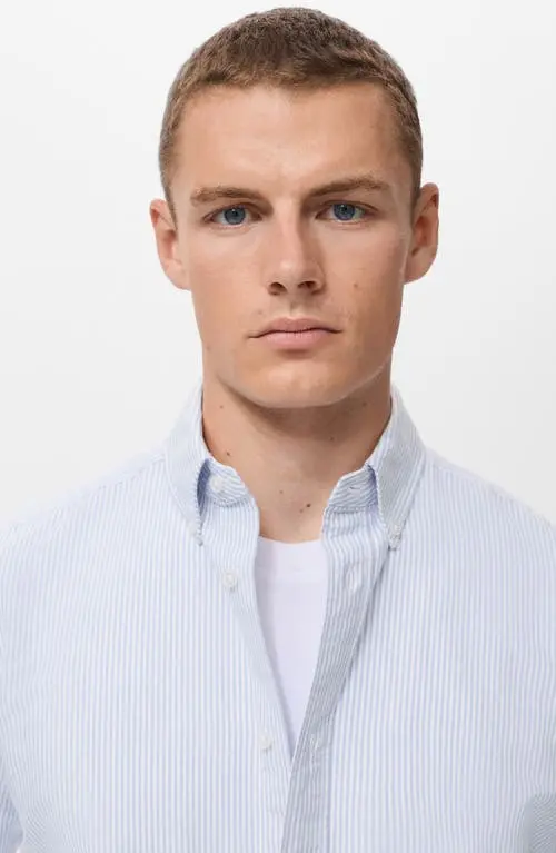 Mango Stripe Cotton Button-up Oxford Shirt - Sky Blue