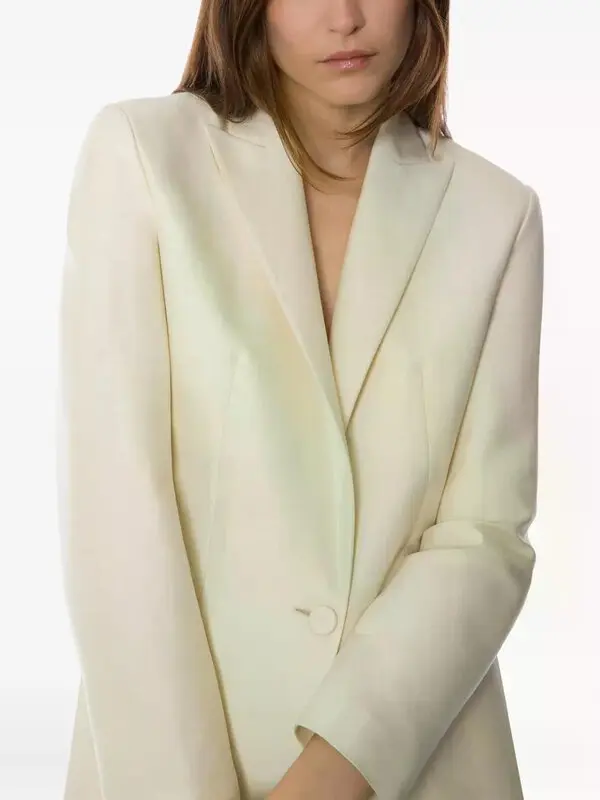 Alberta Ferretti Tailored Lapel Blazer