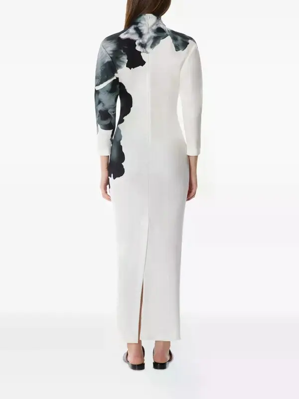 Alberta Ferretti Printed Dress