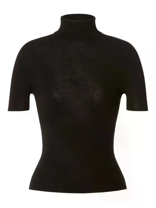 Alberta Ferretti Roll-neck Top