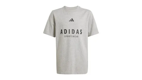 Adidas All Szn Graphic Tee Shirt - Medium Grey Heather/black
