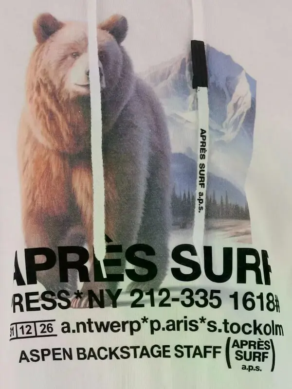 APRÈS SURF Bear-print Drawstring Hoodie