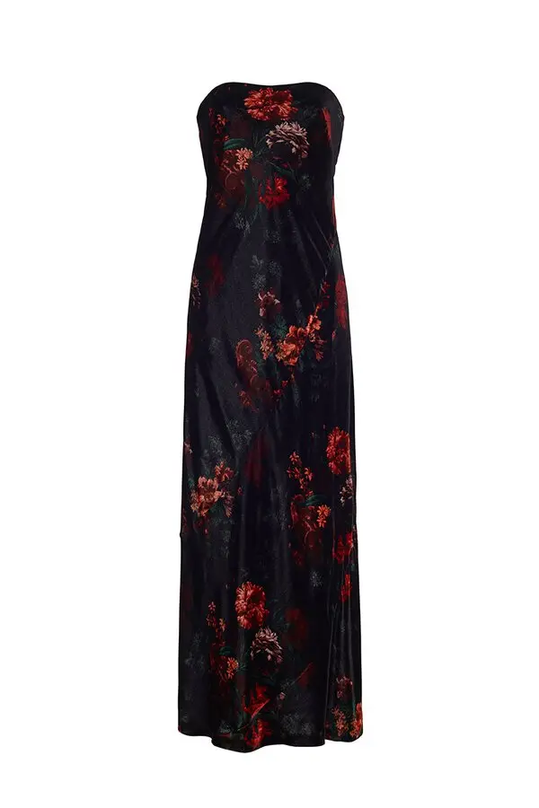 Cara Cara Sierra Strapless Maxi Dress