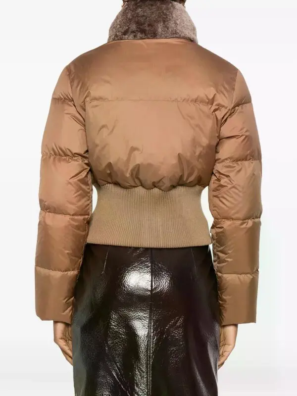 Fendi Shearling-collar Padded Jacket - Brown