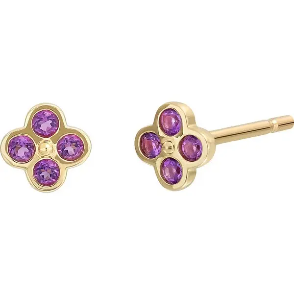 Bony Levy 14k Gold Amethyst Stud Earrings - 0.1 14ky