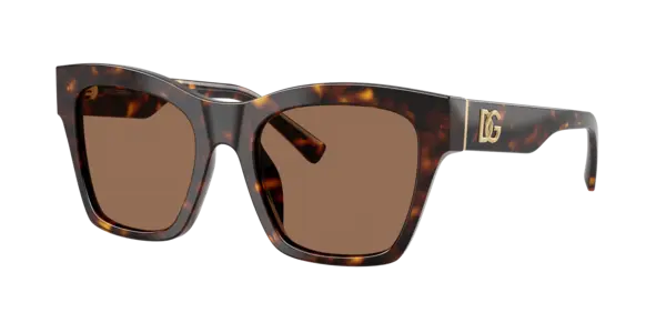 Dolce & Gabbana Sunglasses - Dark Brown