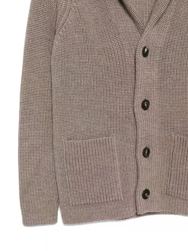 Tagliatore Shawl-collar Cardigan