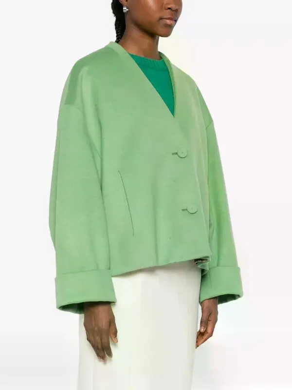 Alberto Biani Buttoned Cropped Jacket