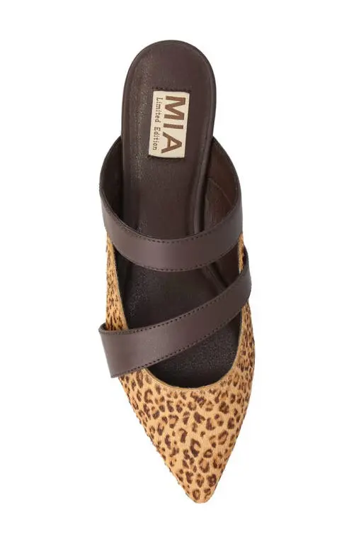 Mia Abie Pointed Toe Mule - Cheetah/dark Brown