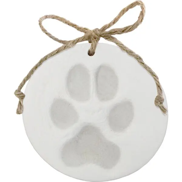 CHILD TO CHERISH Pawprints™ Ornament Making Kit - White