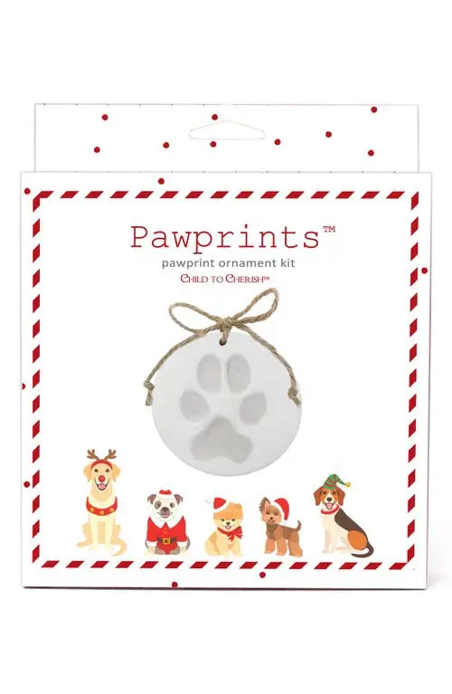 CHILD TO CHERISH Pawprints™ Ornament Making Kit