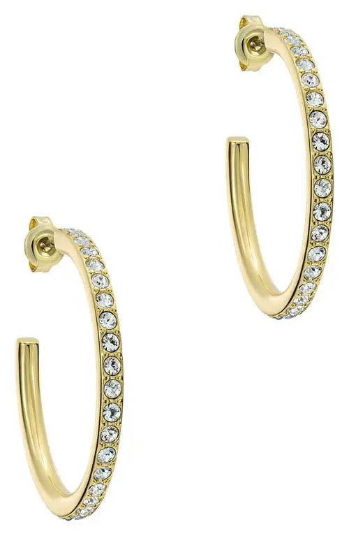Ted Baker London Clanci Medium Crystal Hoop Earrings - Gold Tone/clear Crystal
