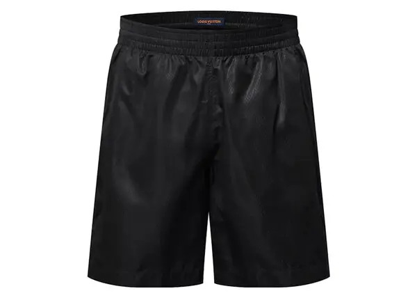 LOUIS VUITTON Damier Nylon Swim Shorts