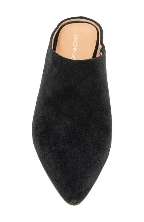 Andre Assous Willow Suede Mule - Black