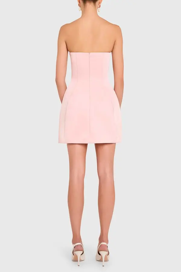 Amanda Uprichard Lodi Strapless Mini Dress