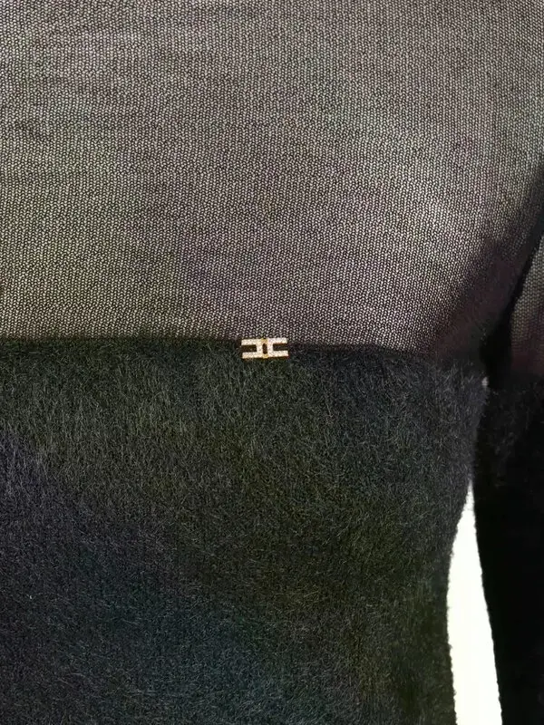 Elisabetta Franchi Roll-neck Knit Top