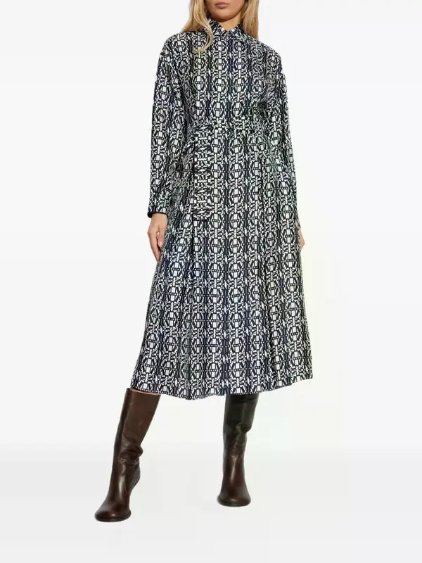Max Mara Esploso Patterned Dress