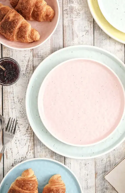 STONE + LAIN Elena Stoneware 4-piece Dinner Plate Set