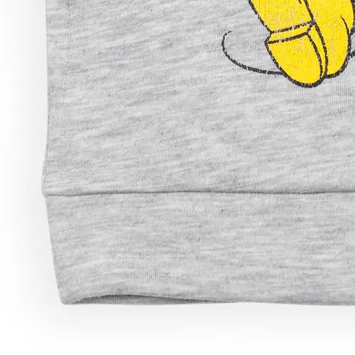 Disney Printed Pullover Hoodie - Grey