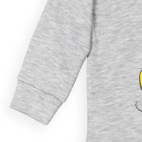 Disney Printed Pullover Hoodie - Grey