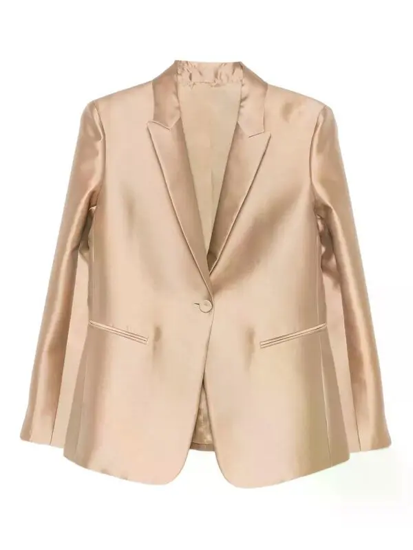 Alberta Ferretti Buttoned Peak-lapel Jacket