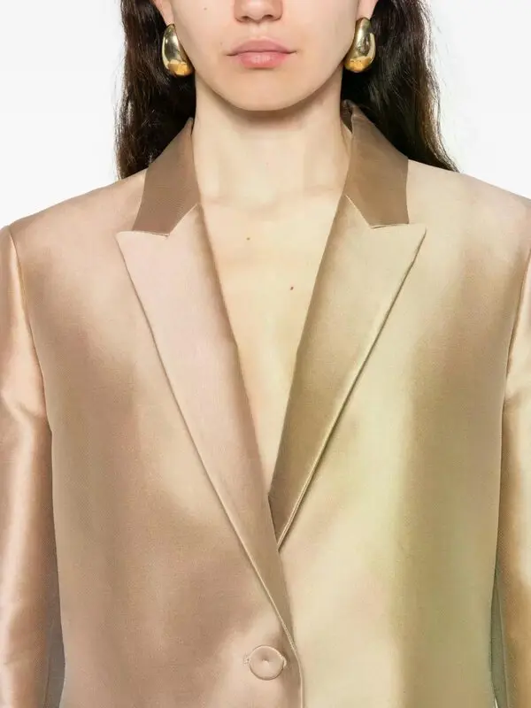 Alberta Ferretti Buttoned Peak-lapel Jacket