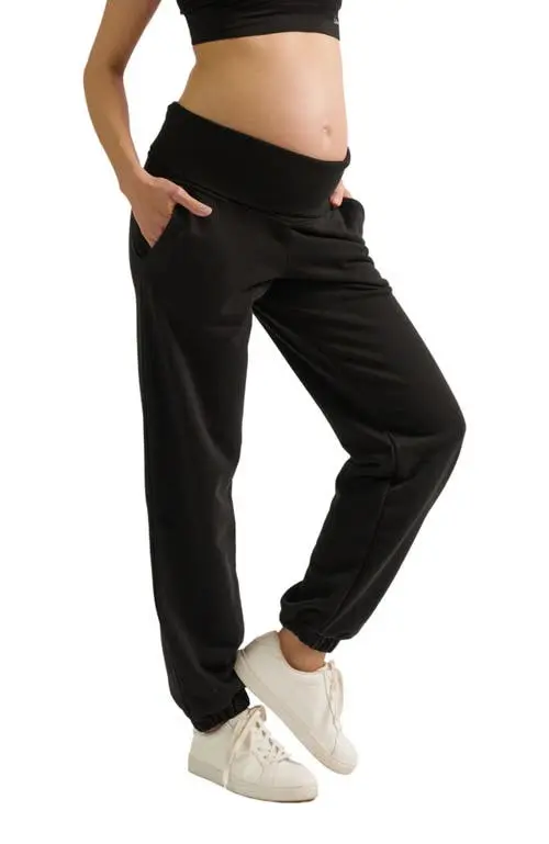 CACHE COEUR Maternity Joggers