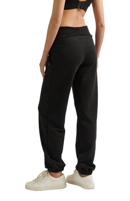 CACHE COEUR Maternity Joggers
