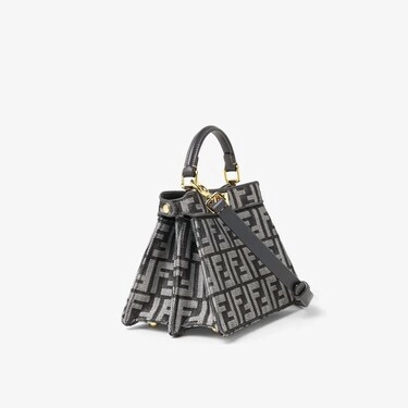 Fendi Peekaboo Iseeu Petite Bag