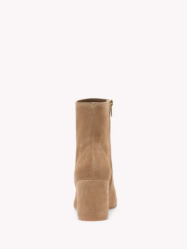 GIANVITO ROSSI Joelle Ankle Boots - Brown - Suede