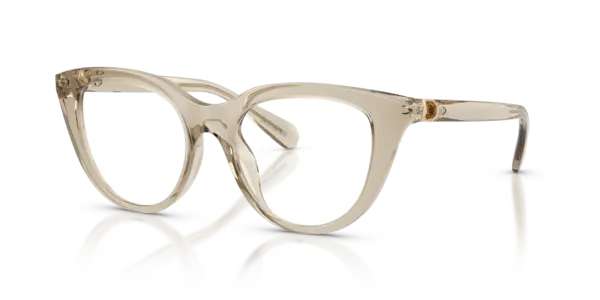 SWAROVSKI Full Rim Eyeglasses - Transparent Beige