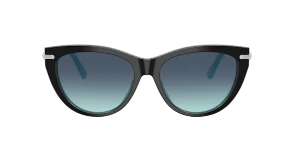 Tiffany & Co. Tf4253 Sunglasses - Black On Tiffany Blue