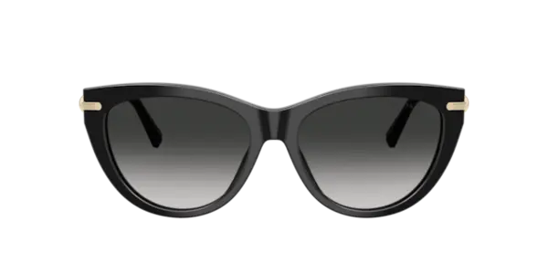 Tiffany & Co. Tf4253 Sunglasses - Black