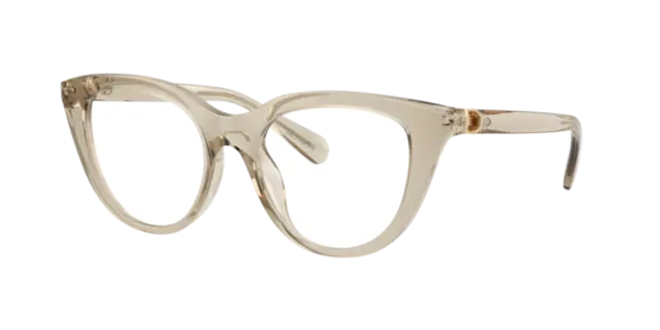SWAROVSKI Optical Frame Sk2052 - Transparent Beige