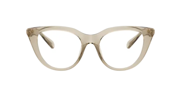 SWAROVSKI Optical Frame Sk2052 - Transparent Beige